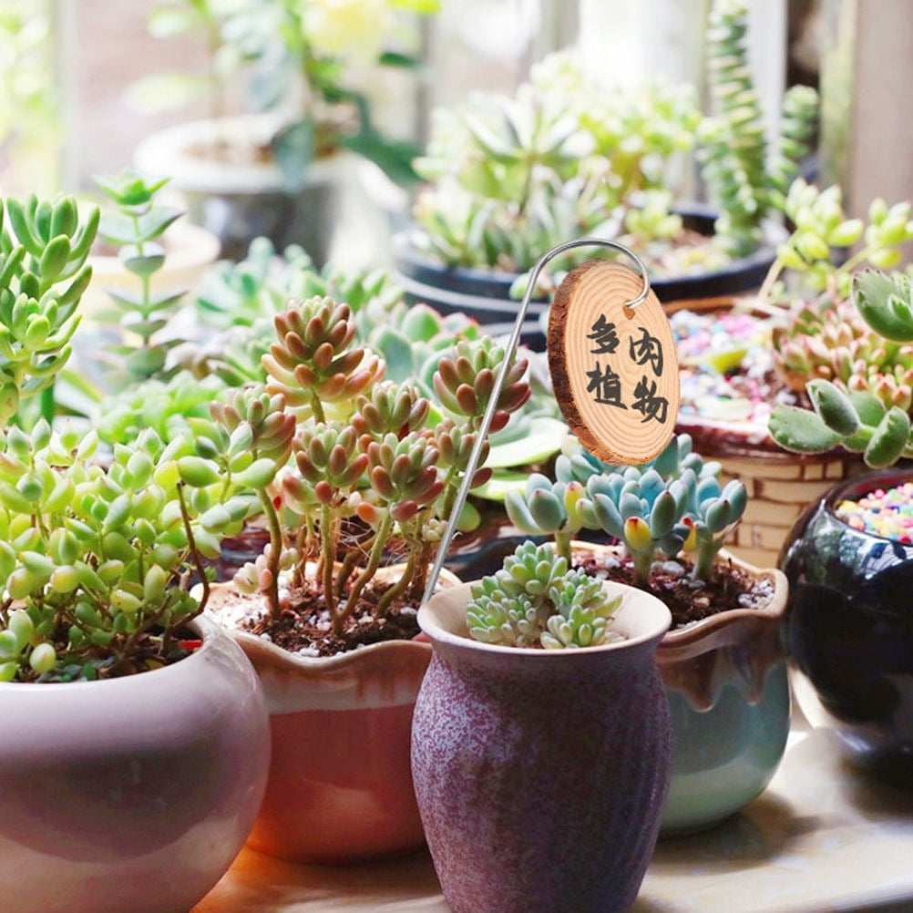 HAKIDZEL Potted Plants Signs Wood Garden Planter Signs Multi 1 Set ...