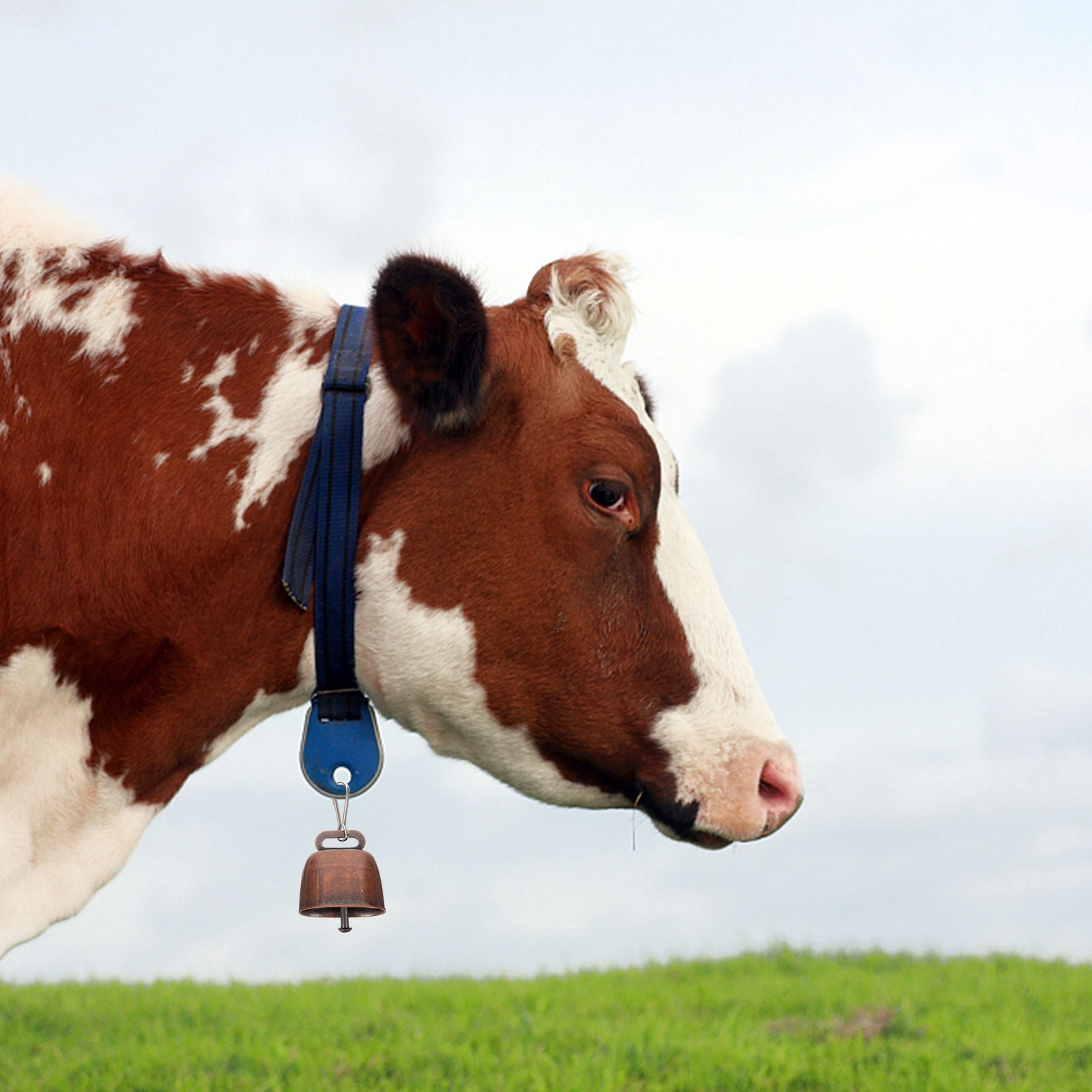 Cowbell Collar