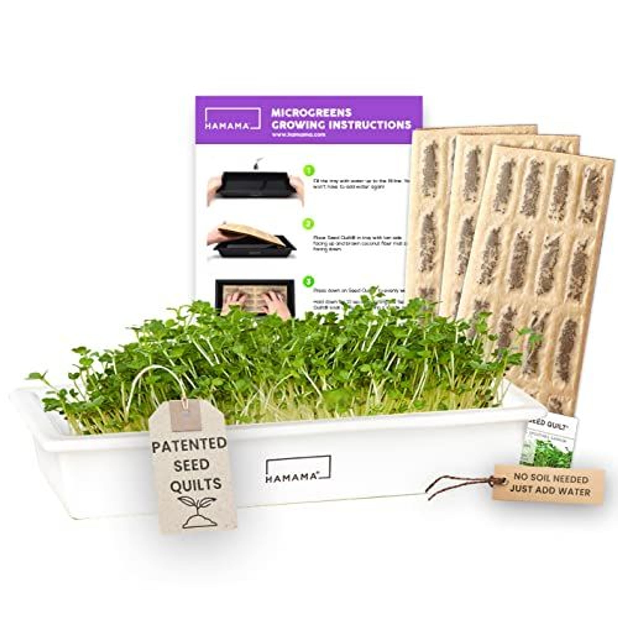 HAMAMA Home Microgreens Growing Kit, Grow Fresh Micro Greens Indoors ...