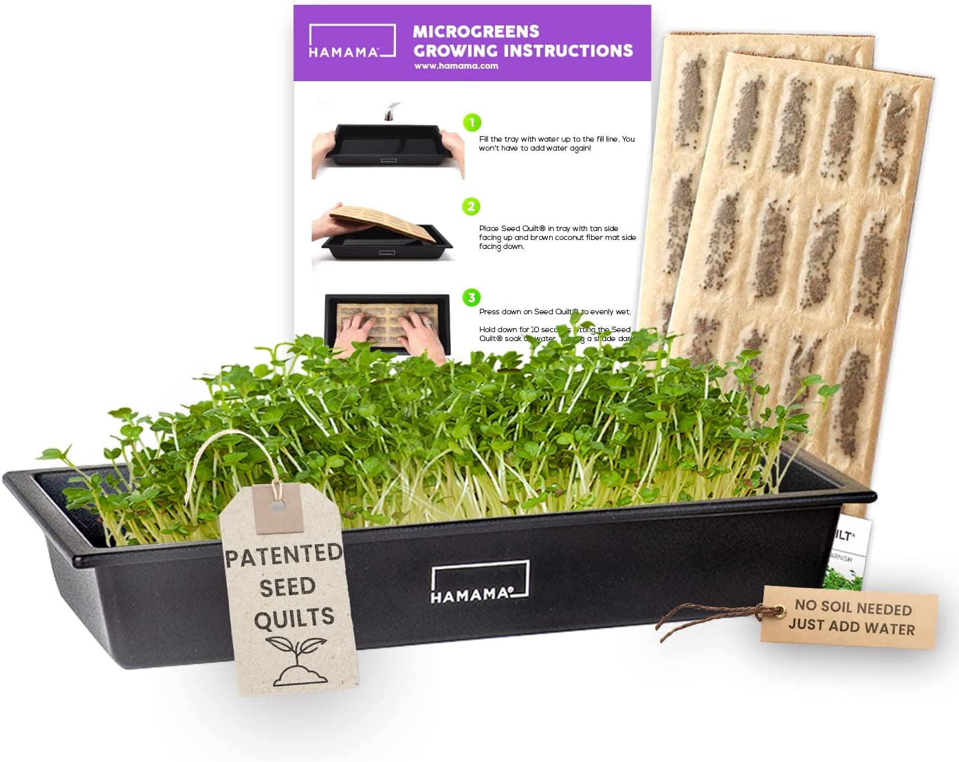 HAMAMA Home Microgreens Growing Kit, Grow Fresh Micro Greens Indoors ...