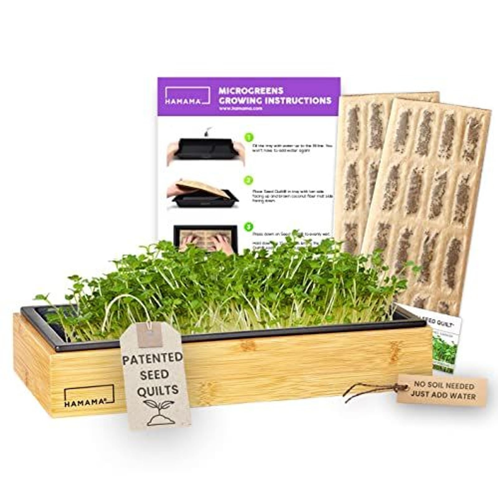 HAMAMA Microgreens Growing Kit Broccoli & MVR1 Salad - Indoor Sprouts ...