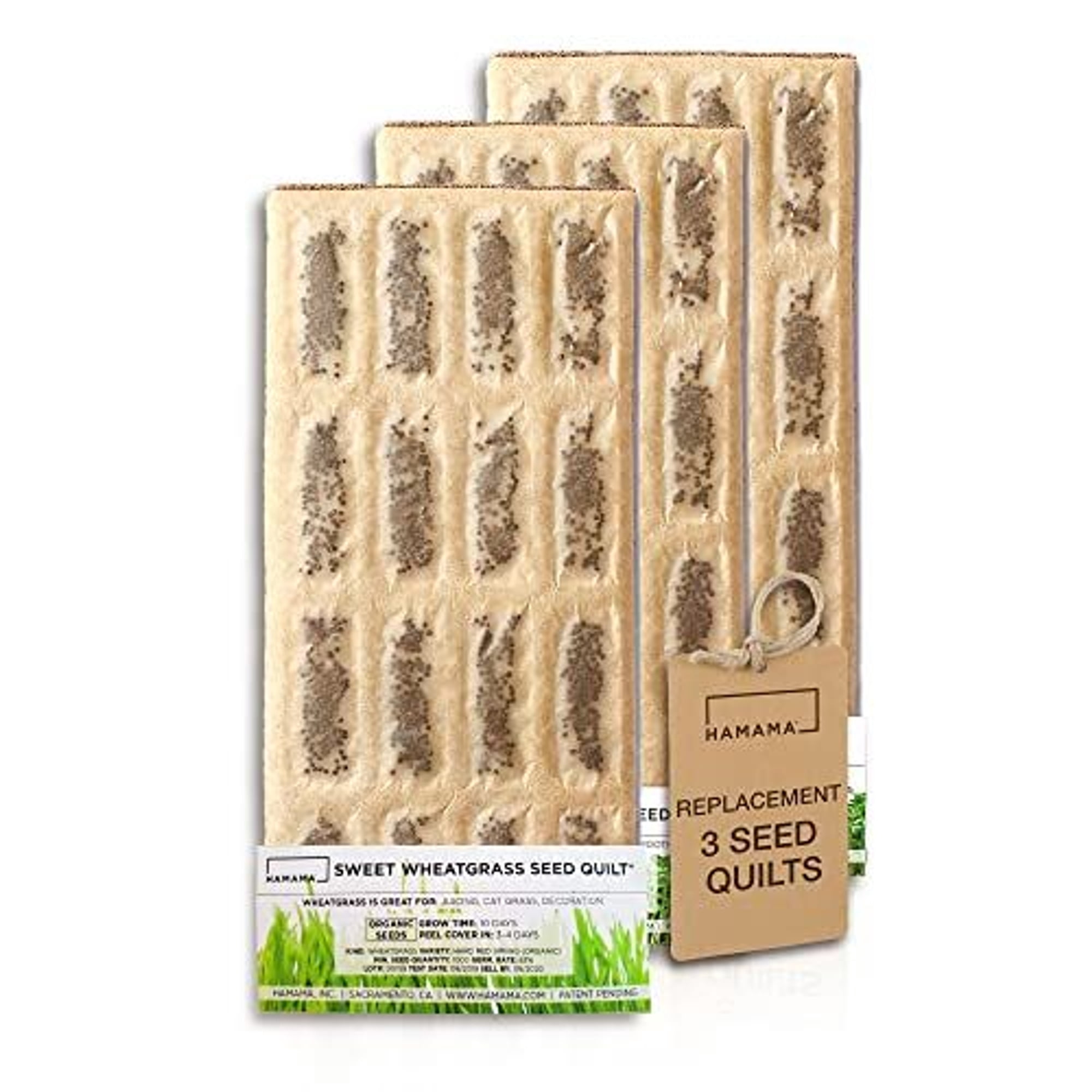 HAMAMA Wheatgrass Seed Quilts, Pack of 3, Organic & Non-GMO Microgreen ...
