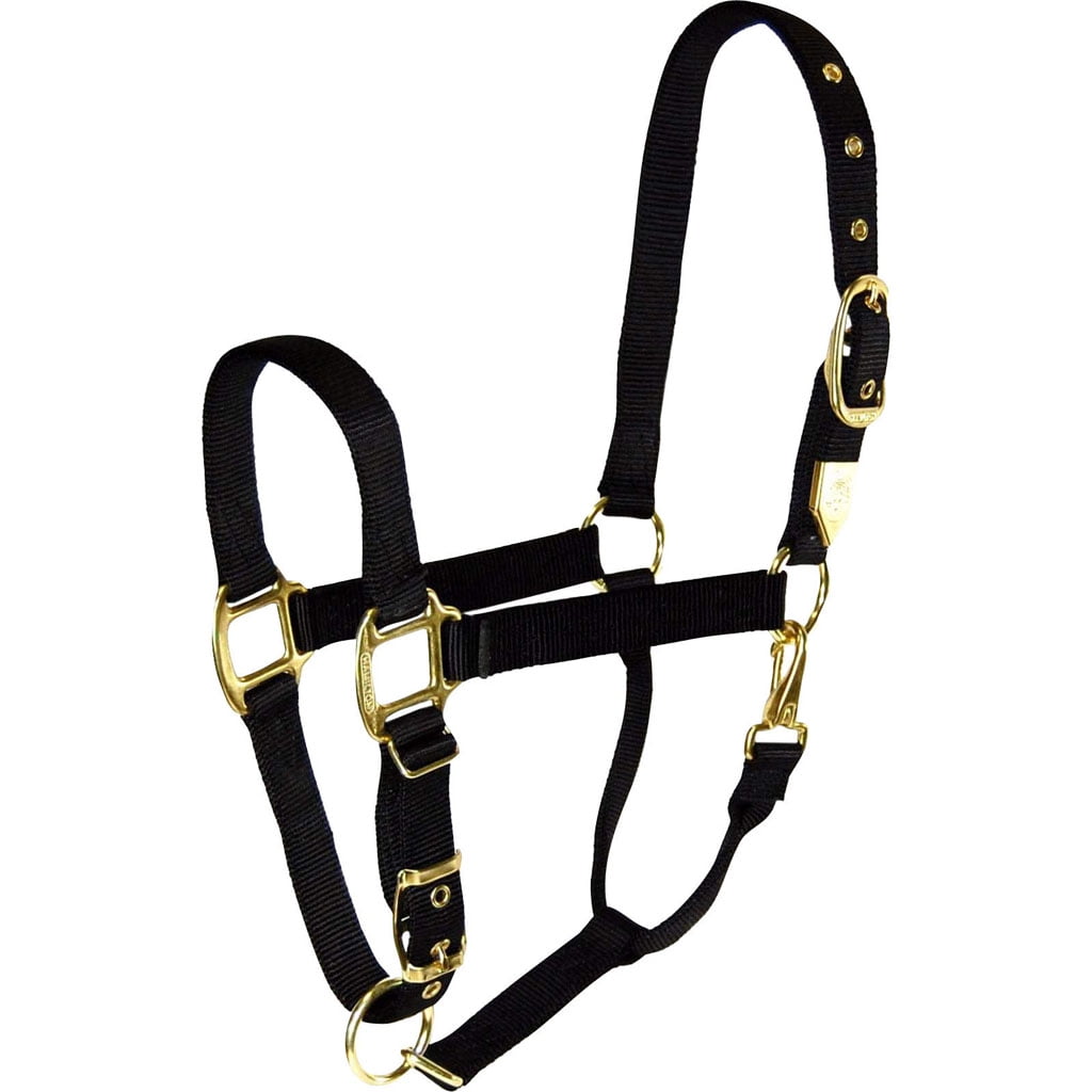 HAMILTON HALTER COMPANY-1DAS LGBK Adjustable Chin Horse Halter With ...