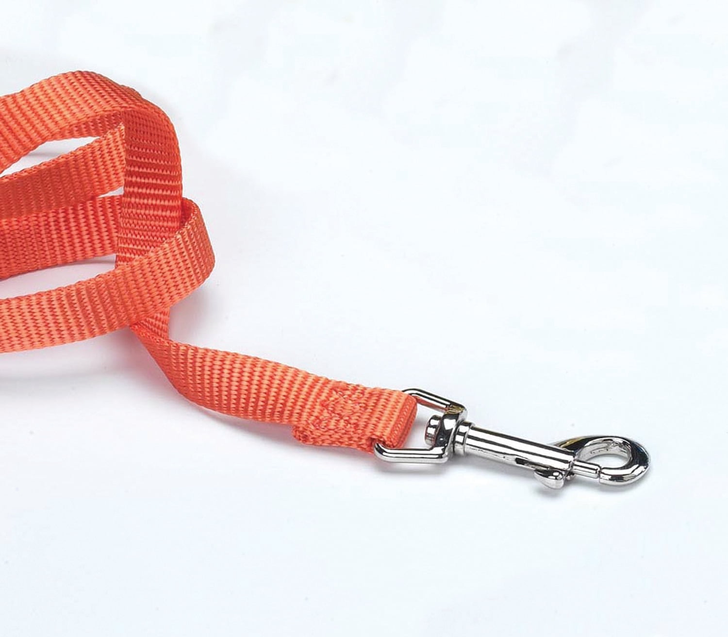 HAMILTON PET COMPANY SINGLE THICK NYLON LEAD 5/8 IN X 4 FT MANGO ...