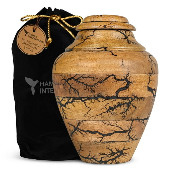 HAMNA INTERNATIONAL Lightning & Resin Urns for Human Ashes Male Female ...