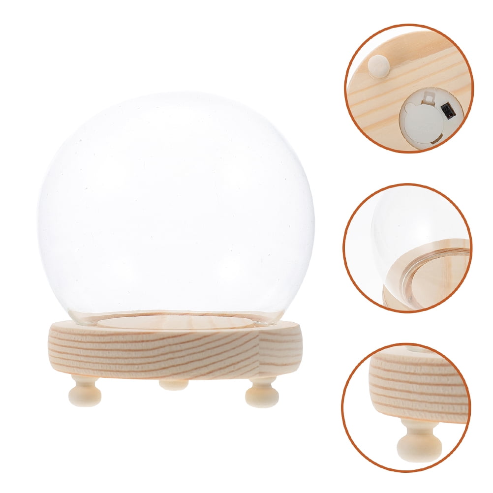 HAMPPLIES 1 Set Dome Display Case for Flowers and Plants in Transparent ...
