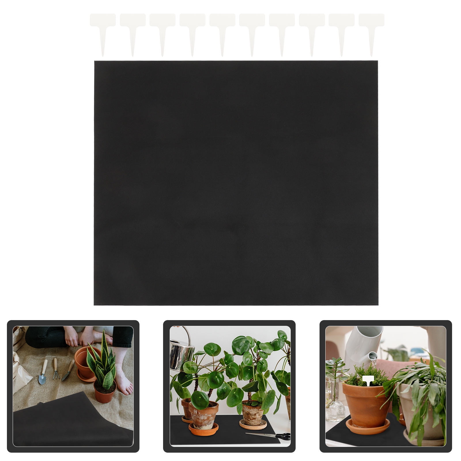 HAMPPLIES 1 Set Self-Watering Base for Plants and Herbs with -Punched ...