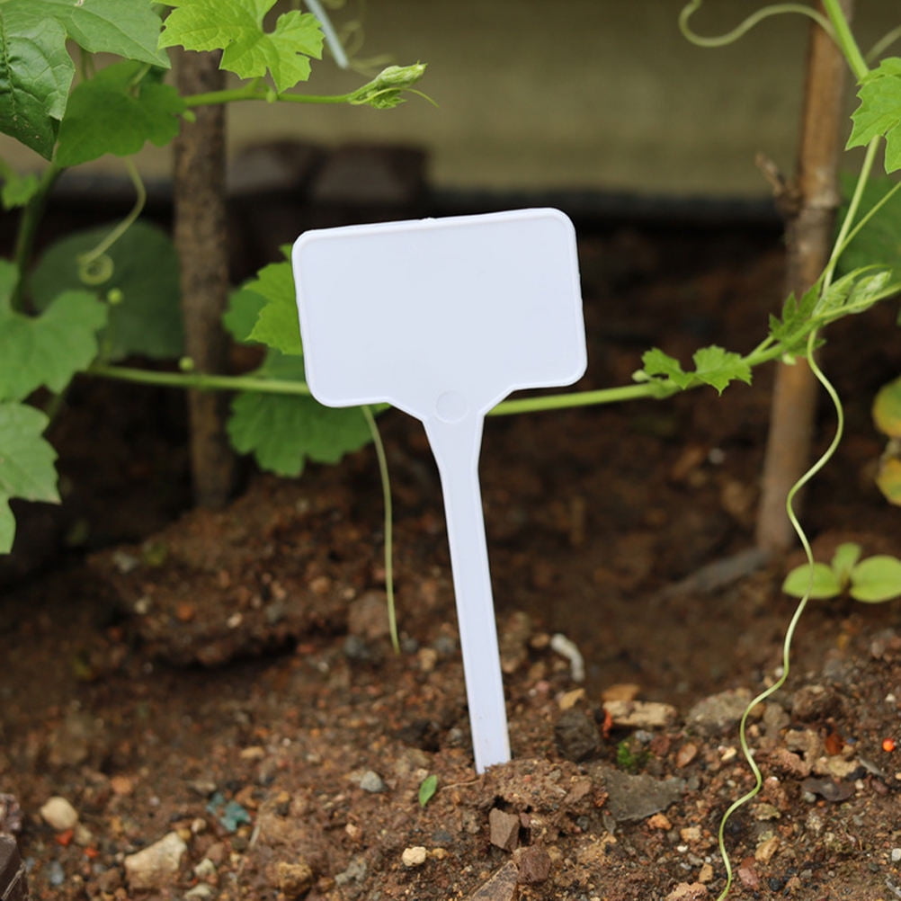 HAMPPLIES Garden Sowing Dispenser Tool Seedling Spread Accessories 12Pcs 7x4.3x0.4in - Walmart.com