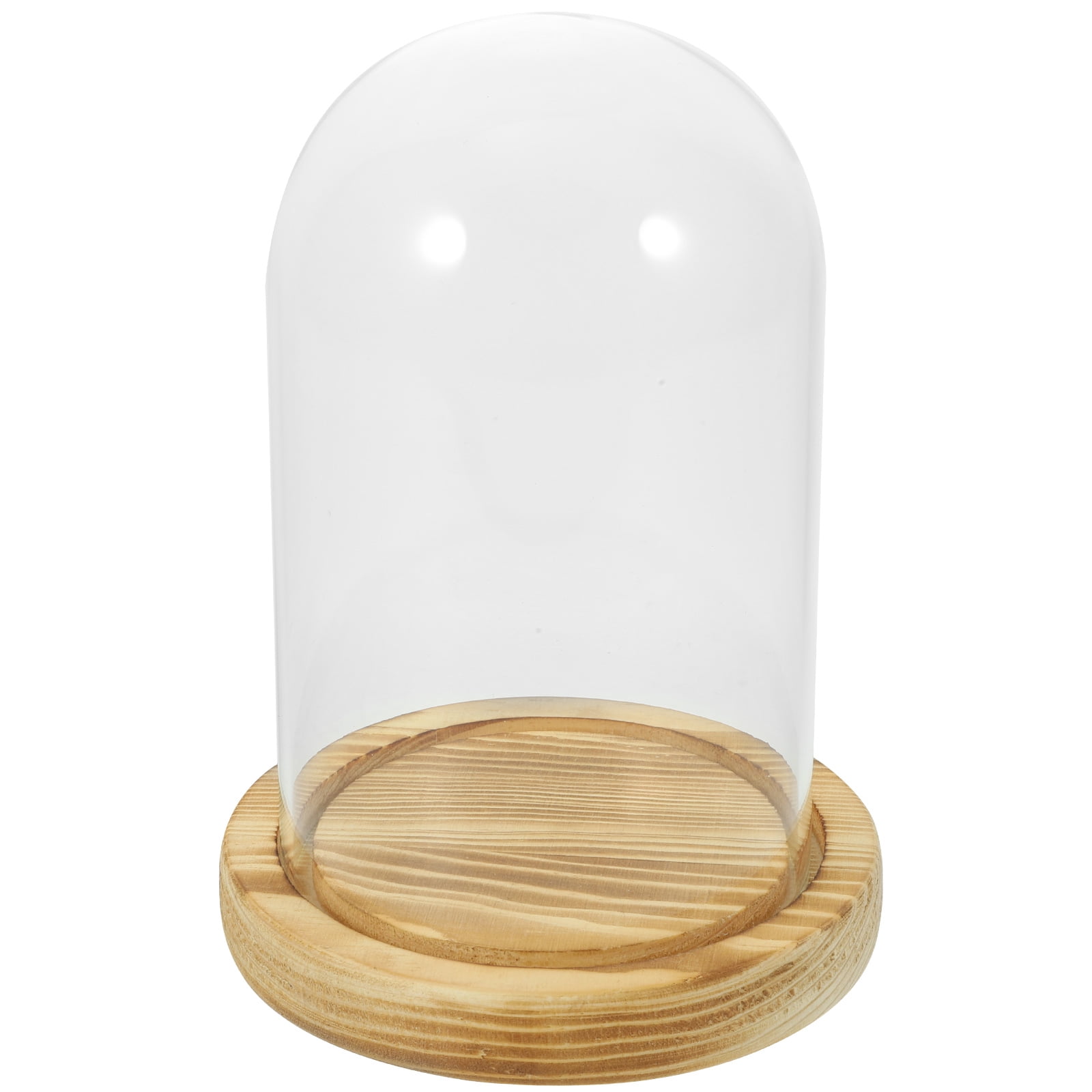 HAMPPLIES 1Pack Glass Cabinet For Plants With Assorted Color Wood Base ...