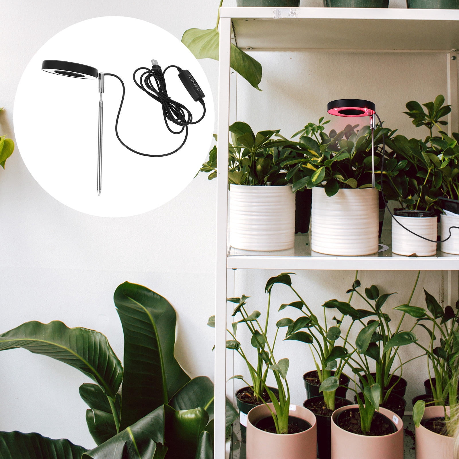 HAMPPLIES 1Set LED Plant Grow Light for Office Environment with 360 ...