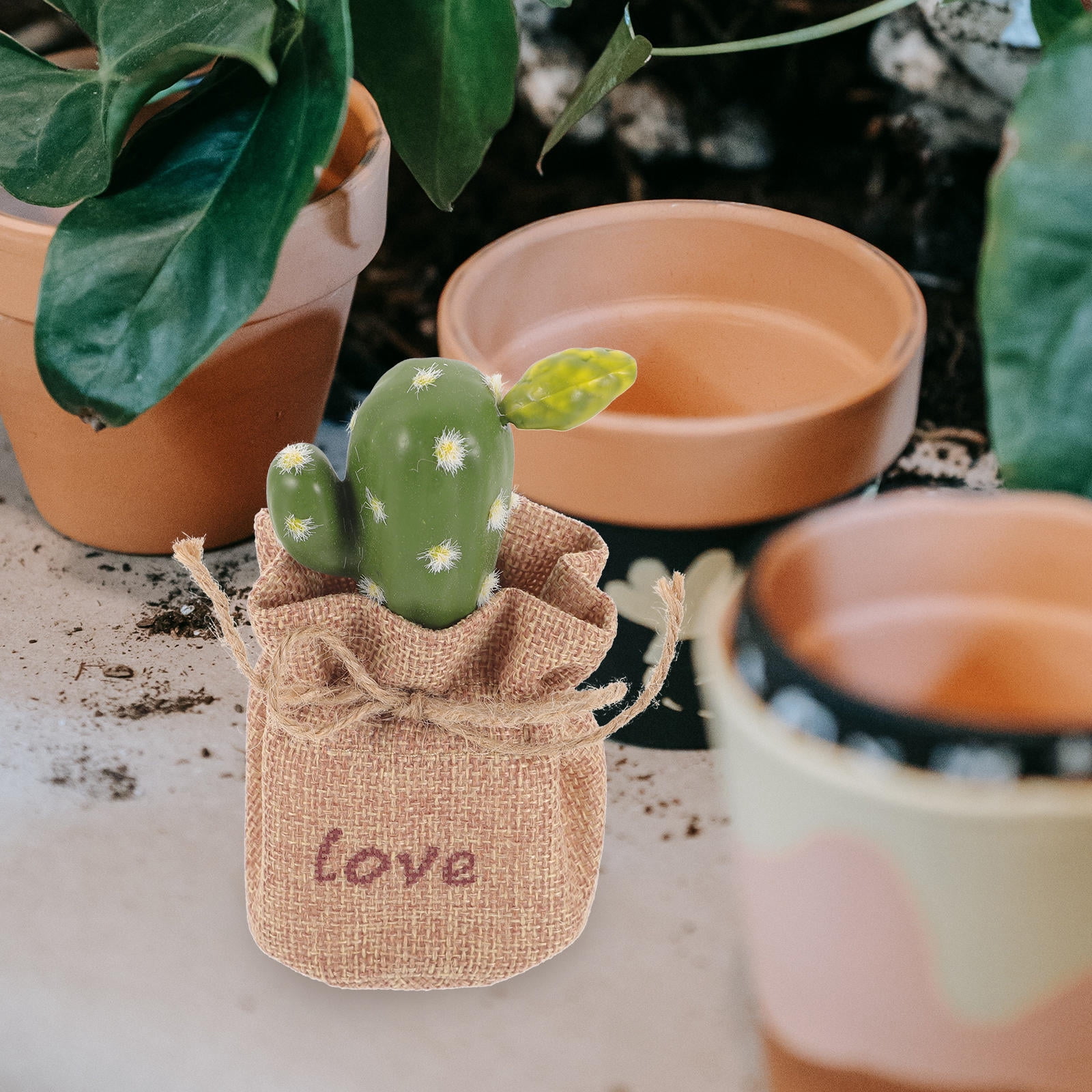 HAMPPLIES Miniature Bonsai Decor Mini Cactus Bonsai Multi 1Set 4.7x2 ...