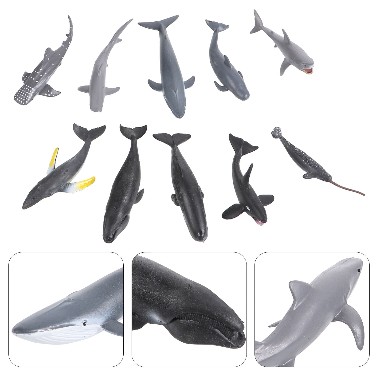 HAMPPLIES 24Pcs Vivid Ocean Animal Toys Assorted Color for Kids Pool ...