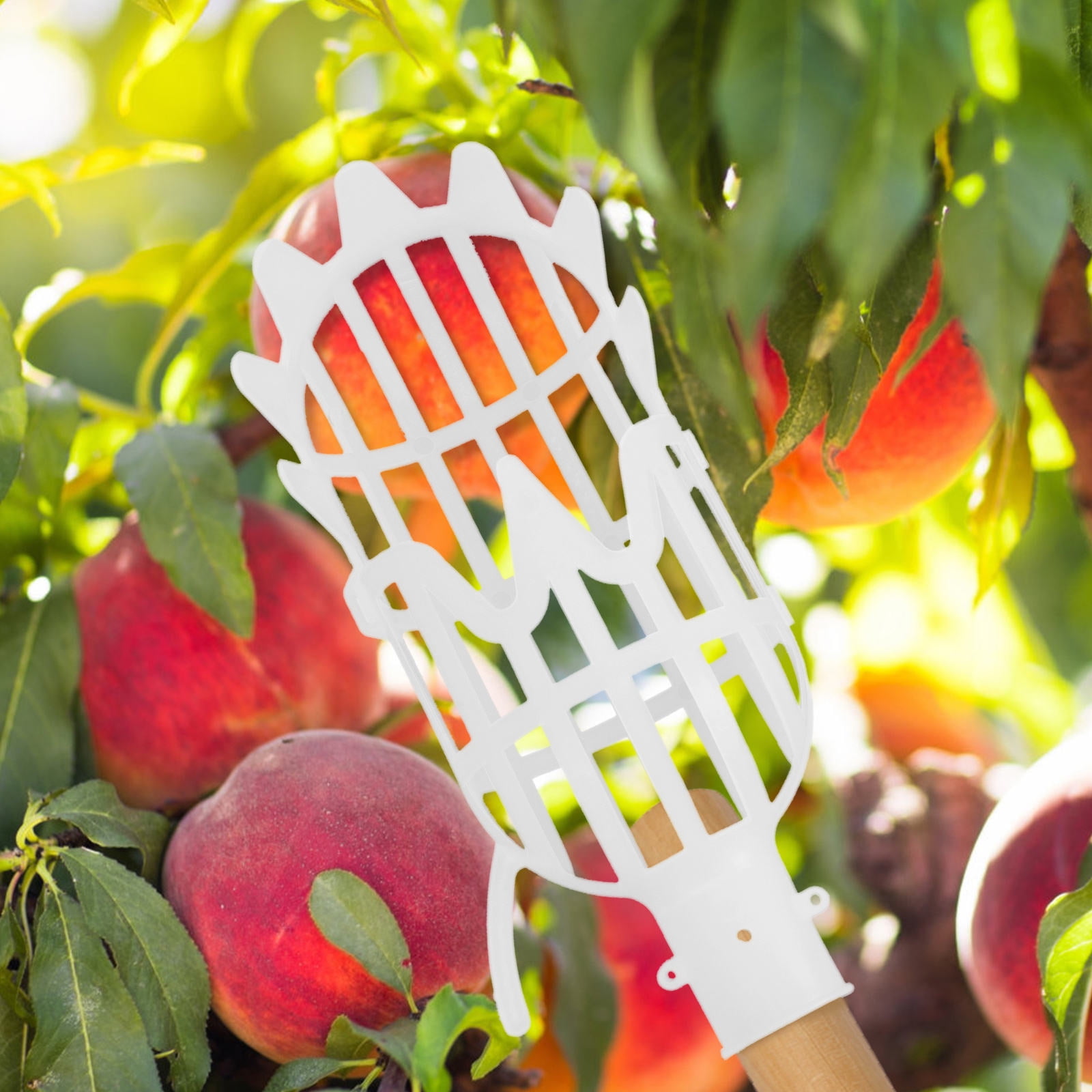 HAMPPLIES 2Pcs Fruit Picker with Basket for Safe Picking and Tree ...