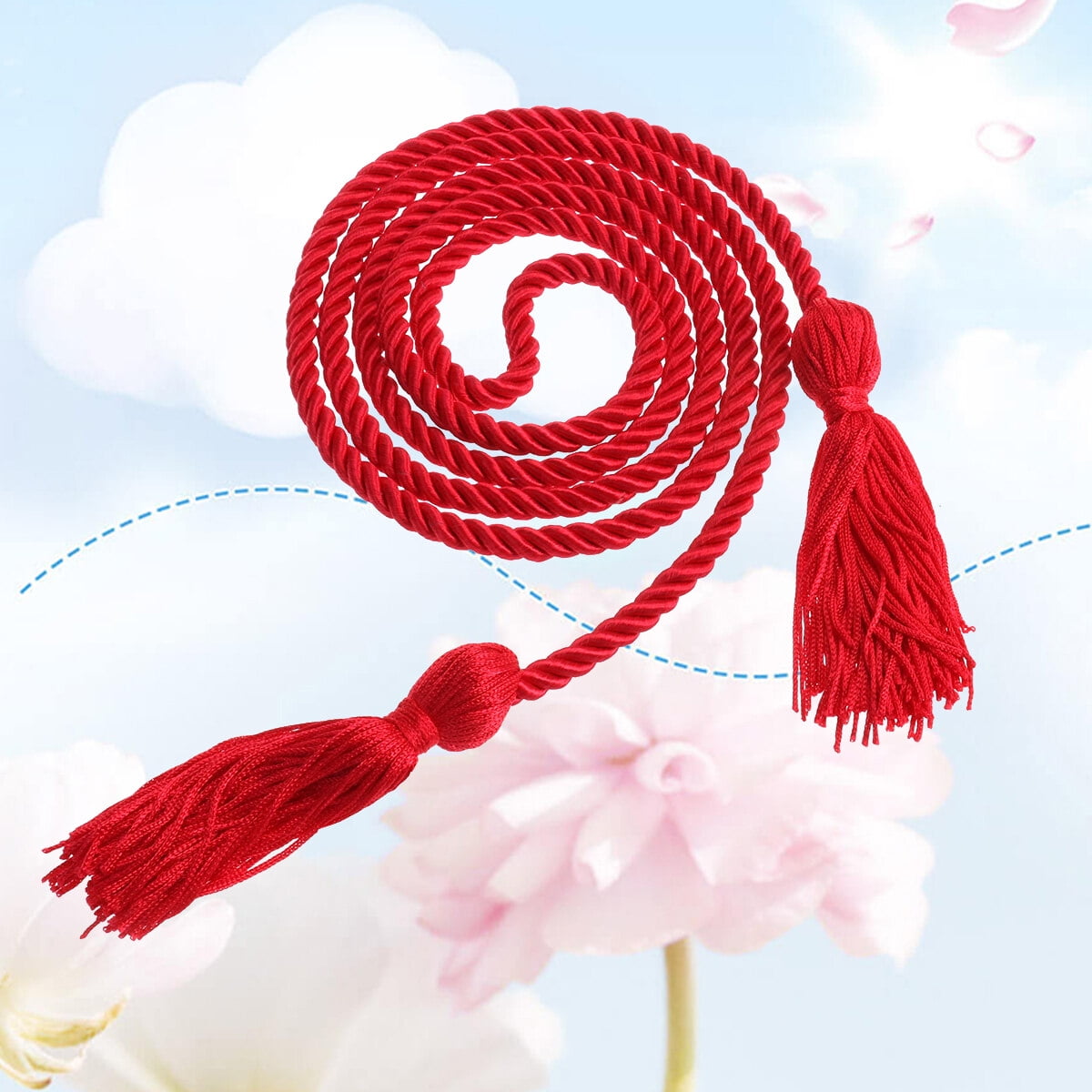 HAMPPLIES 3Pcs Honor Graduation Cords Red Tassel Shape for Photography ...