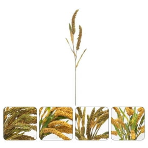 Wheat Stalks