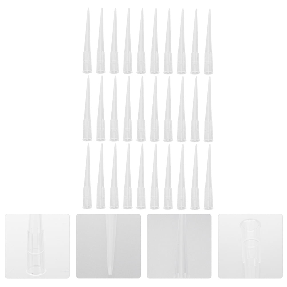 HAMPPLIES Floral Water Tubes 150Pcs for Flower Arrangement and Home ...