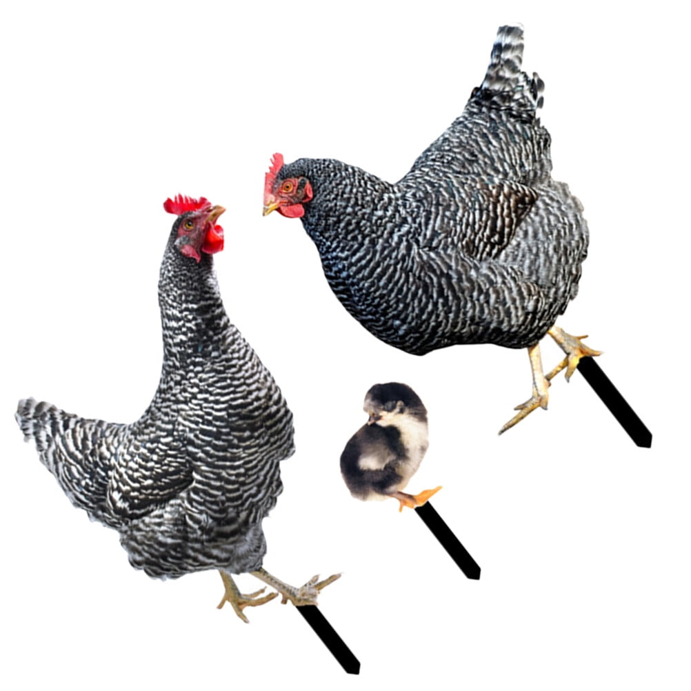 HAMPPLIES Garden Chicken Stake with Assorted Color Pheasant Shape ...