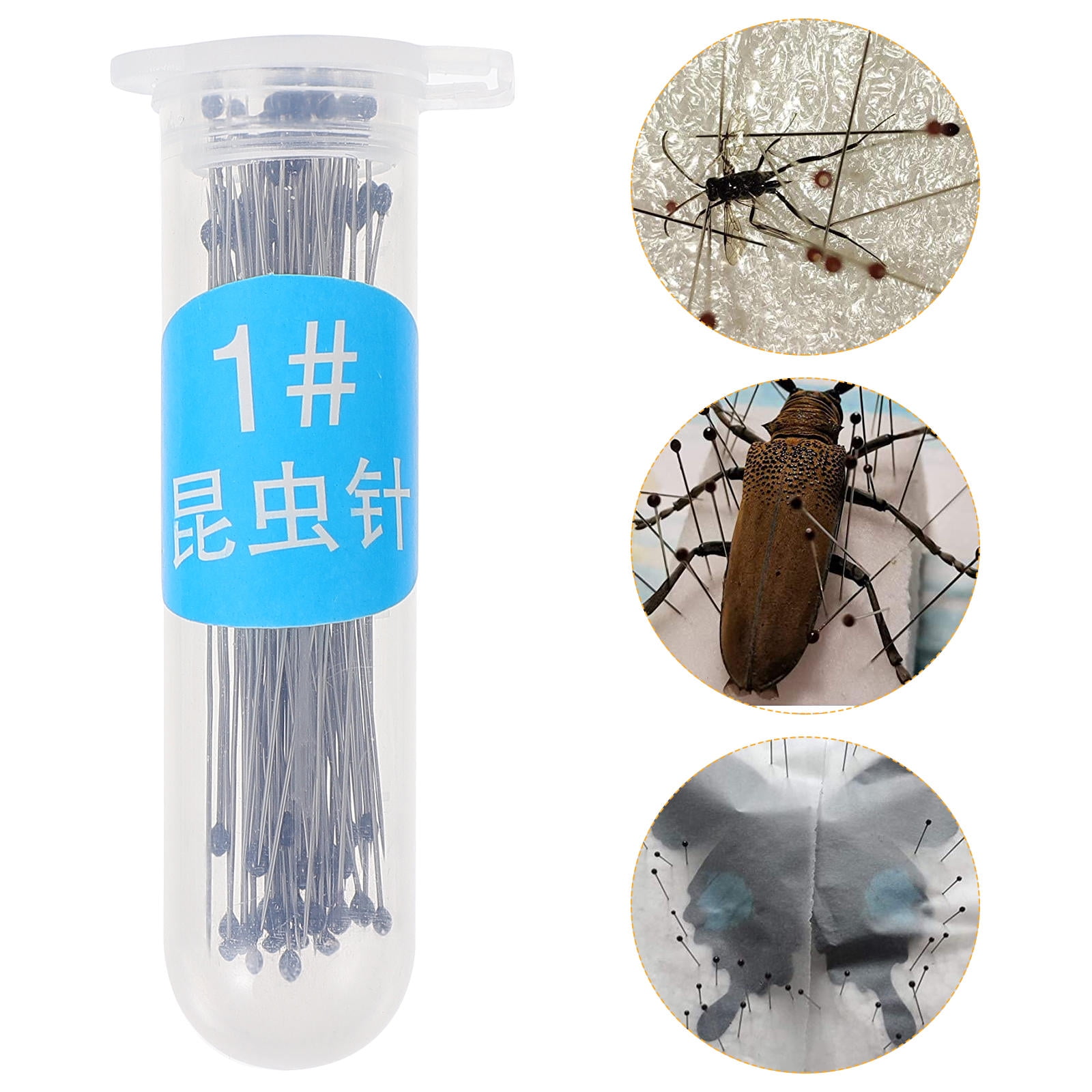 HAMPPLIES Stainless Steel Insect Kit, Entomology Needles Variety Pack ...