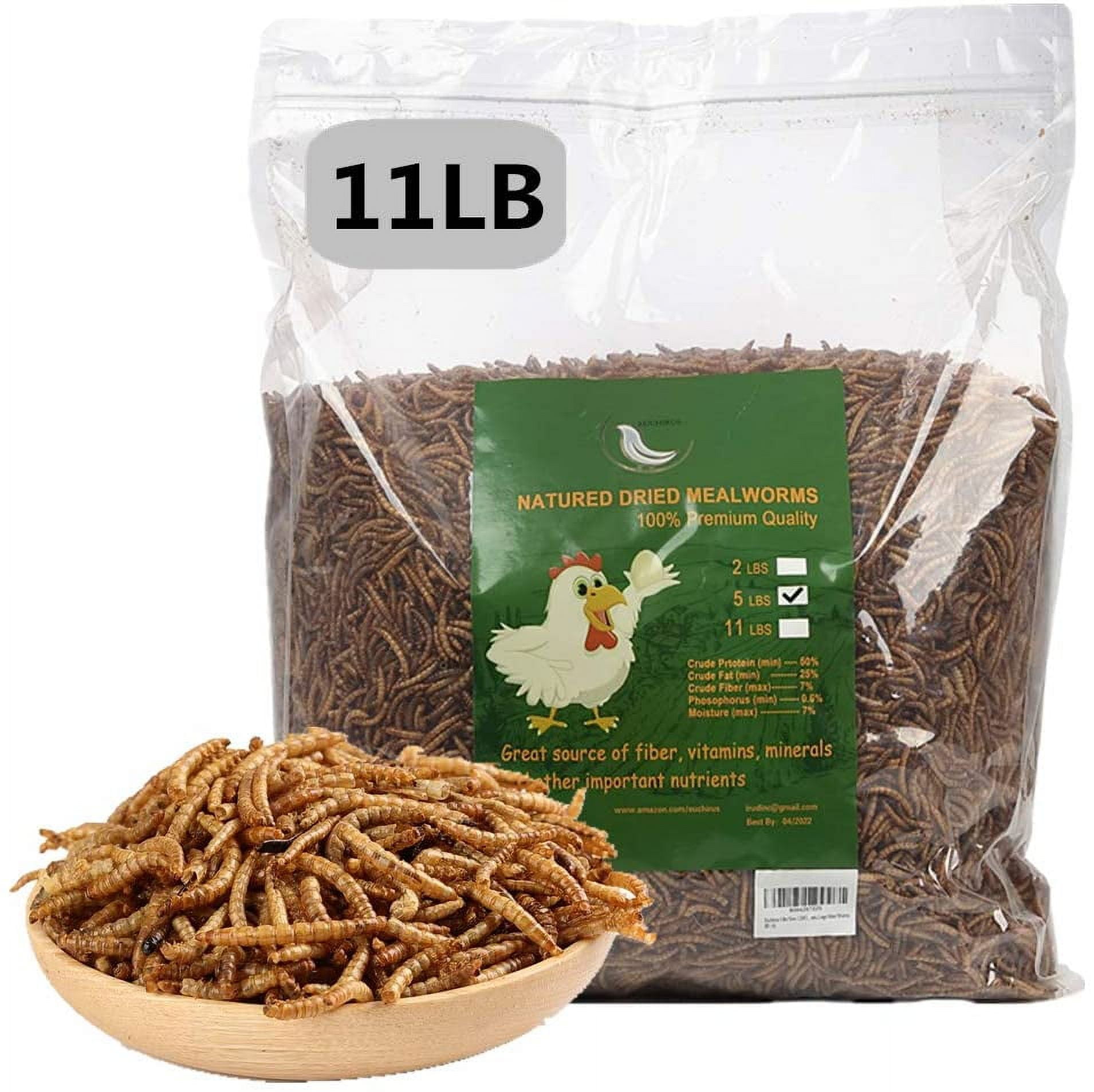 HANDPOINT 11 lbs Dried Mealworms, 100% Non-GMO Natural High-Protein ...