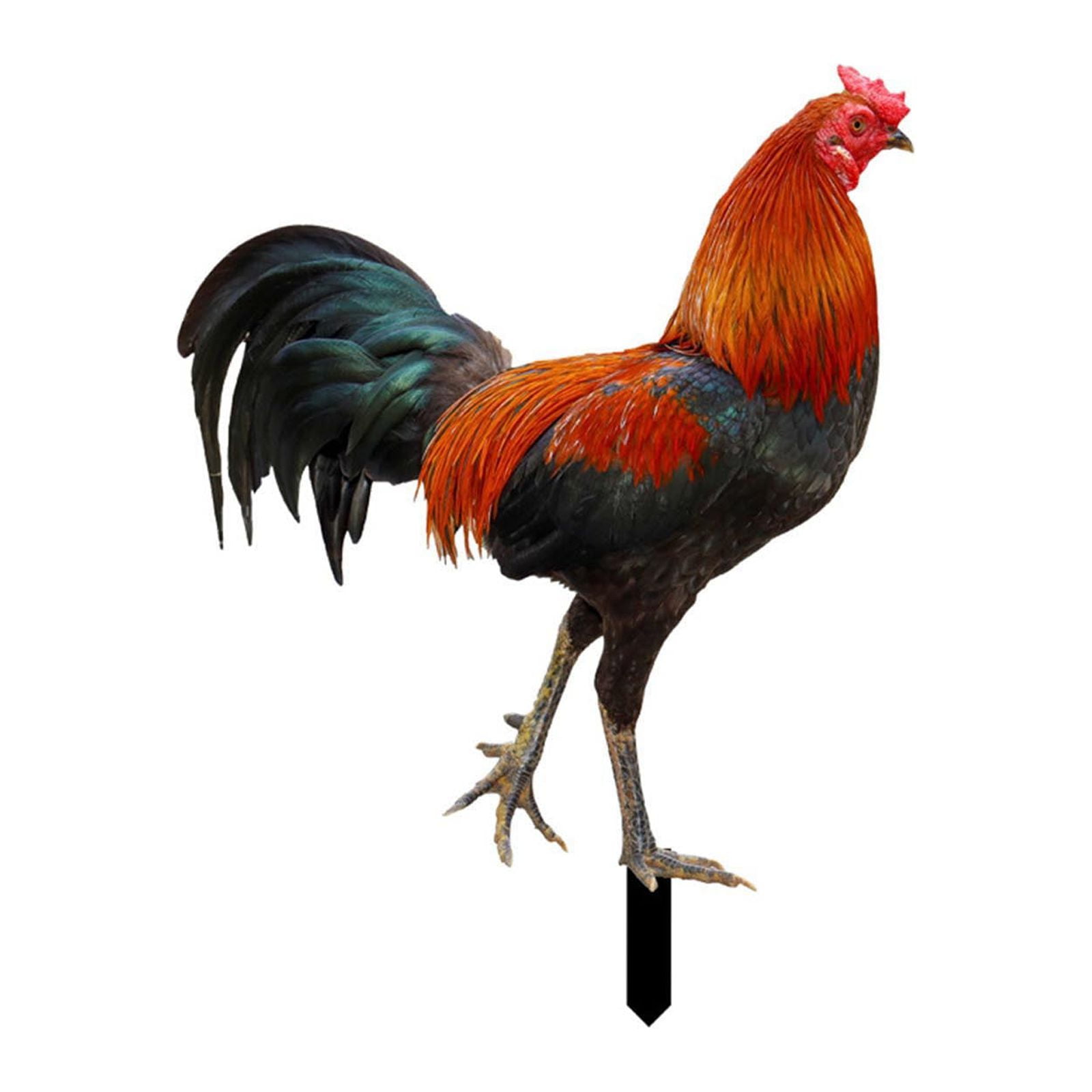 HANXIULIN Acrylic Rooster Garden Statues & Sculptures Garden Courtyard ...
