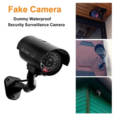 Sarapandan Dome Dummy Security CCTV Camera Simulation Monitor with LED ...