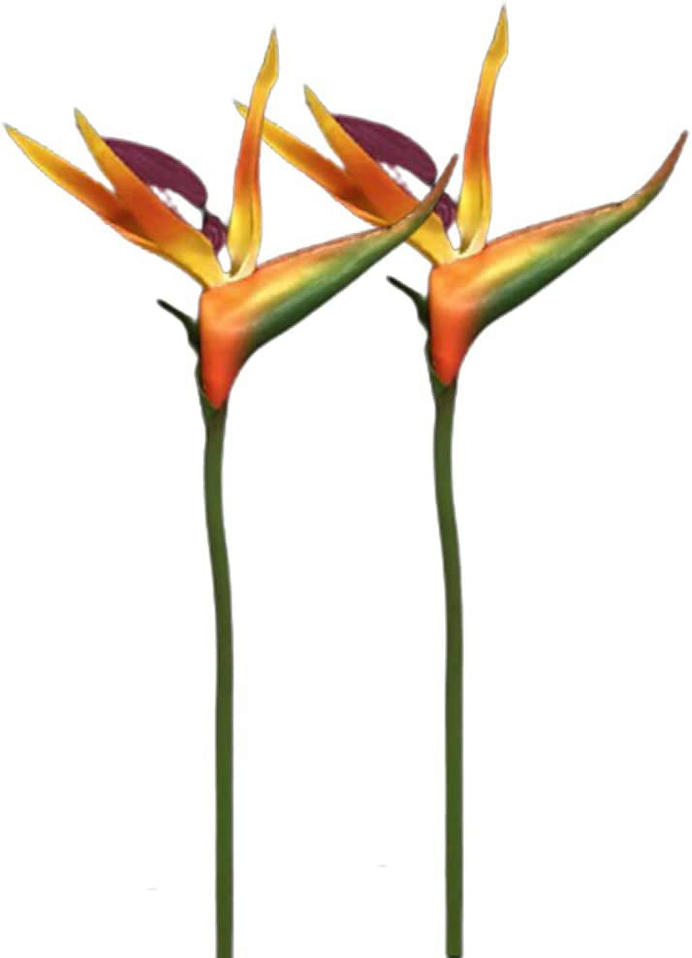 HAOSHICS 6Pcs Artificial Heaven Bird Flowers,Fake Bird of Paradise ...