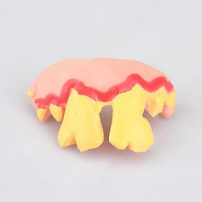 HAOSU False Teeth For Dog Funny Dentures Pet Decorating Supplies ...