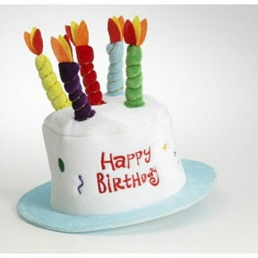 Novelty Place Pink Plush Happy Birthday Cake Hat - Adult Size Fancy ...