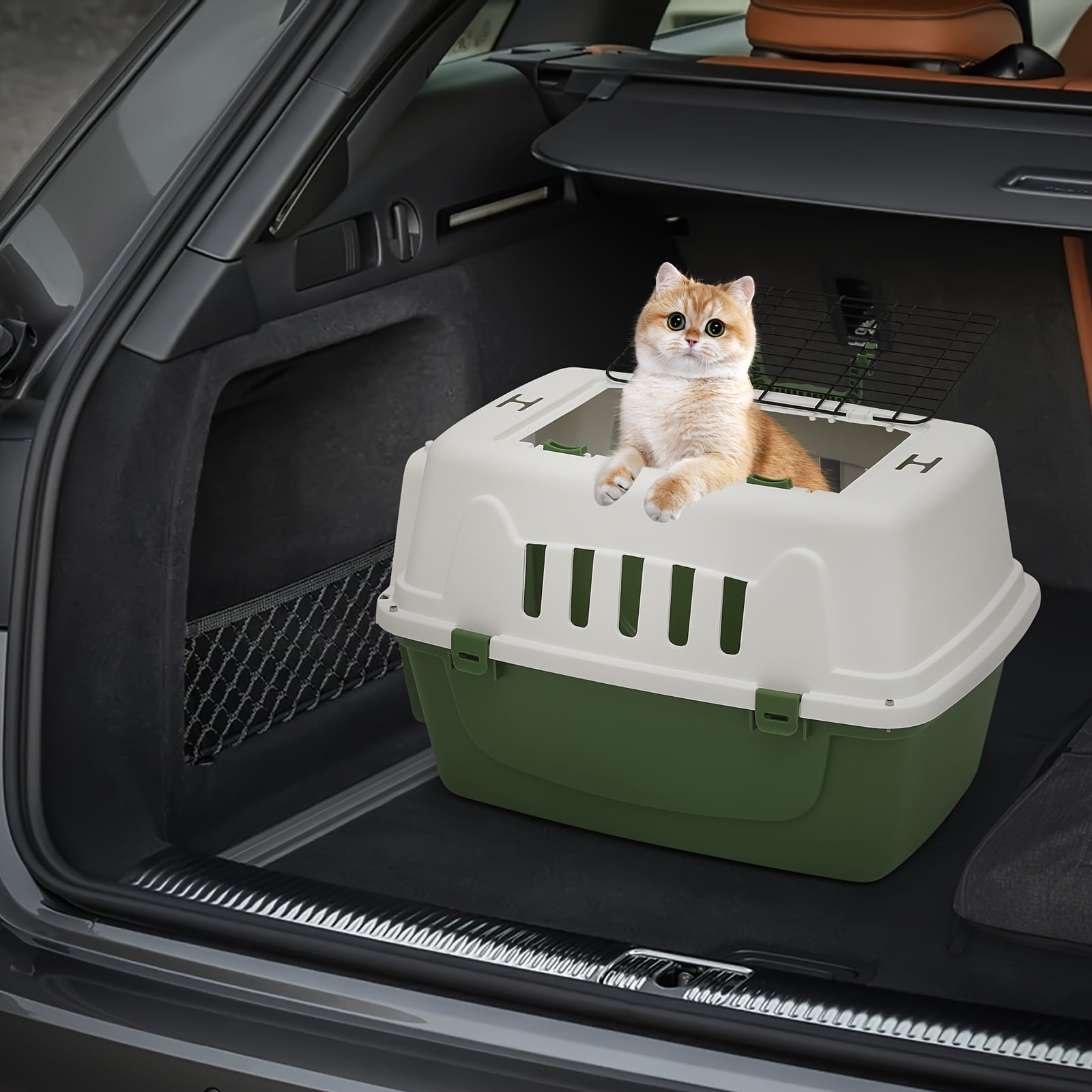 HAPPY DAY 22-Inch Dog Crate Plastic 2-Door Top Loading Cat Carrier ...