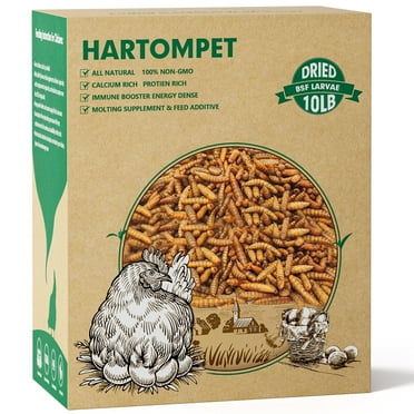 FLYGRUBS Non-GMO Dried Black Soldier Fly Larvae, Chicken Feed for Hens ...
