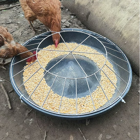 HASACHYL Large Capacity Round Automatic Poultry Feeder - Walmart.com