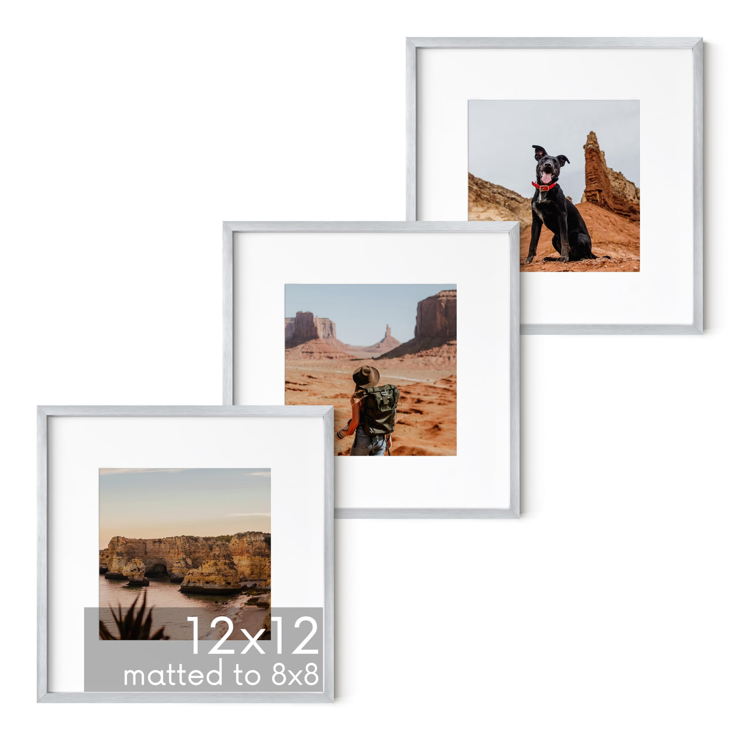 HAUS AND HUES 12x12 Silver Metal Picture Frame Matted to 8x8 - Features ...