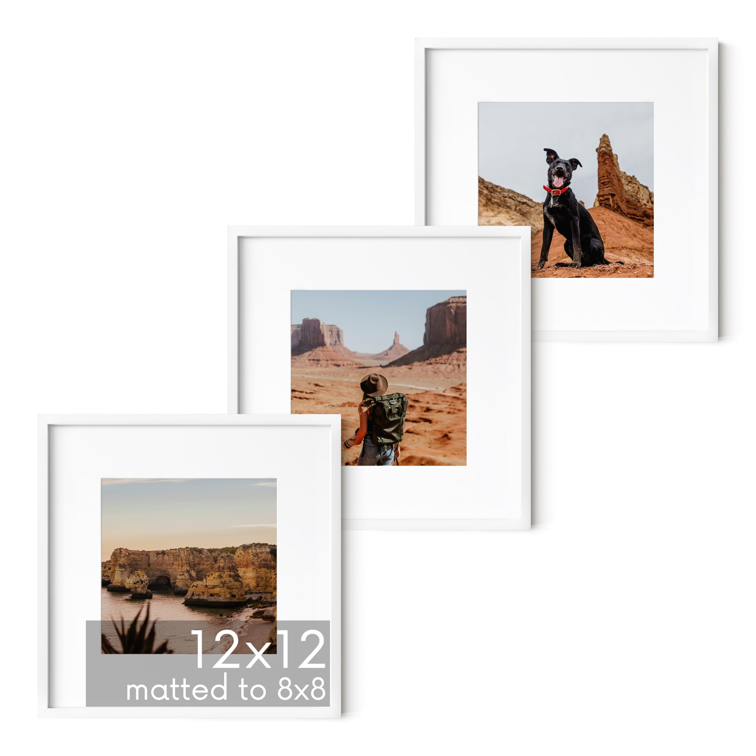 HAUS AND HUES 12x12 White Metal Picture Frames Matted to 8x8- Features ...