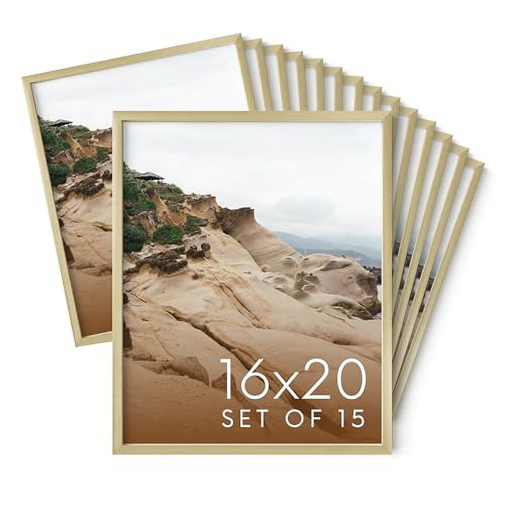 HAUS AND HUES 16x20 Gold Metal Picture Frames - 16x20 Frames Bulk ...