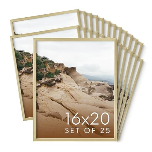 HAUS AND HUES 16x20 Gold Metal Picture Frames - 16x20 Frames Bulk - Features Premium Aluminum ...