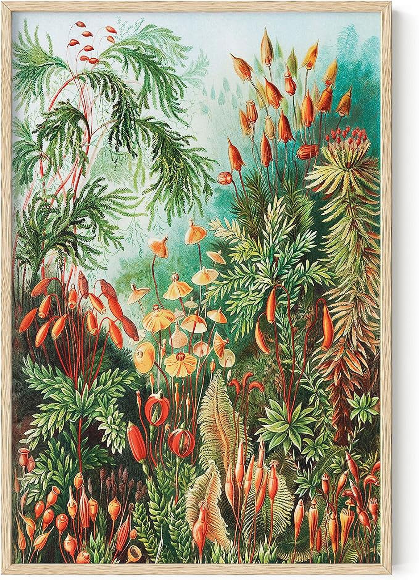 HAUS AND HUES Ernst Haeckel Poster & Vintage Botanical Prints - Vintage ...