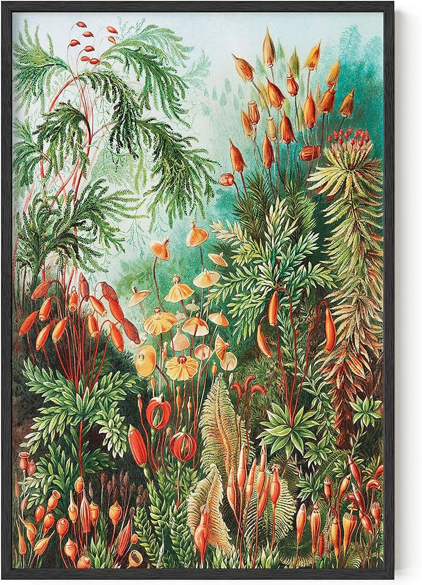 HAUS AND HUES Ernst Haeckel Poster & Vintage Botanical Prints Vintage ...