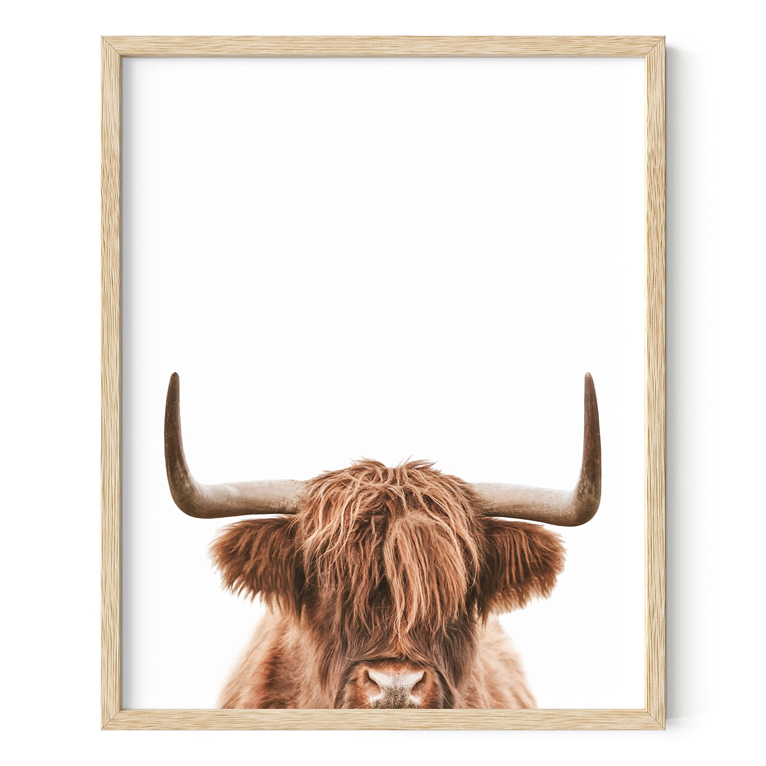 HAUS AND HUES Highland Cow Wall Art - Highland Cow Print and Bull Wall ...