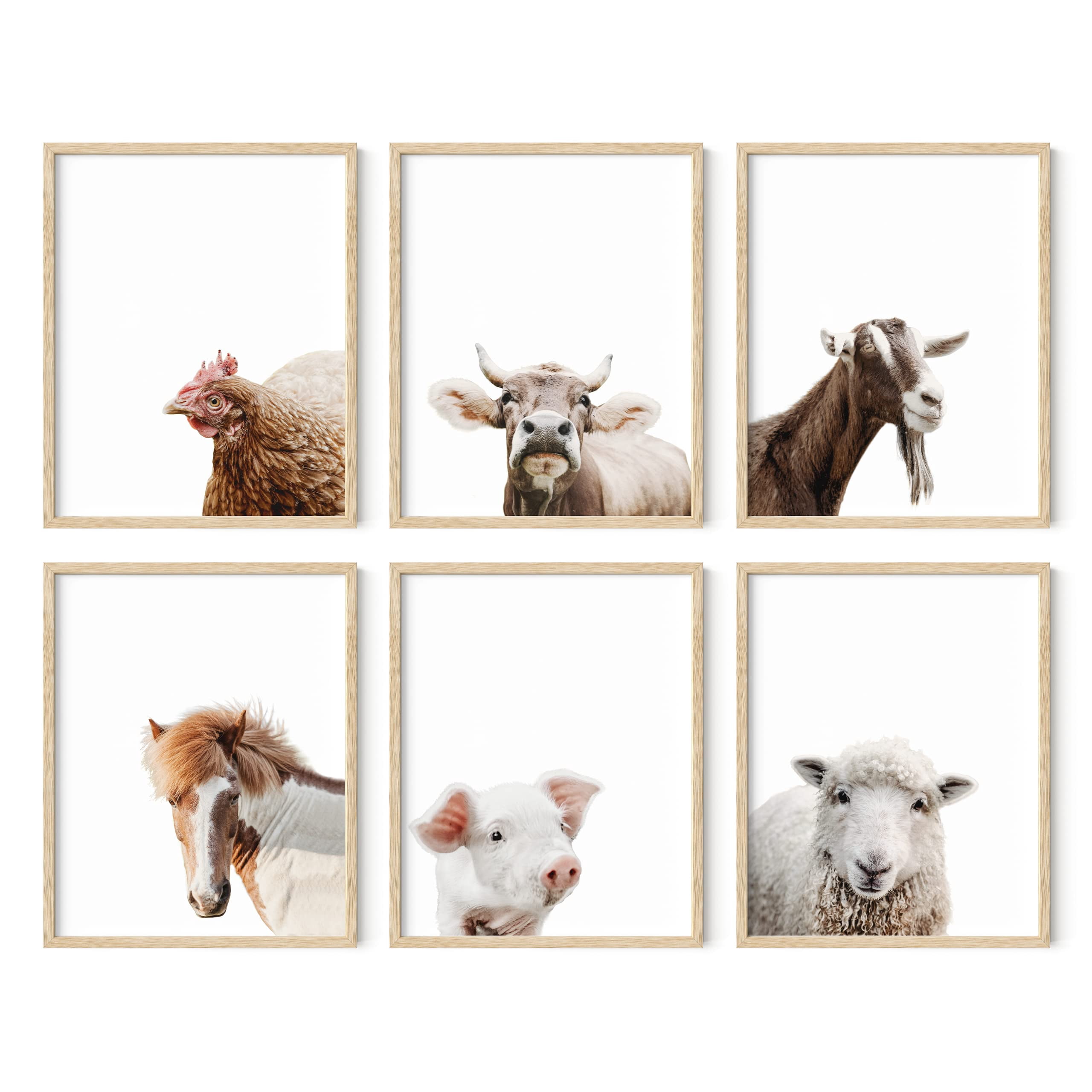 HAUS AND HUES Rustic Farm Animal Pictures - Set of 6 Farmhouse Wall Art ...