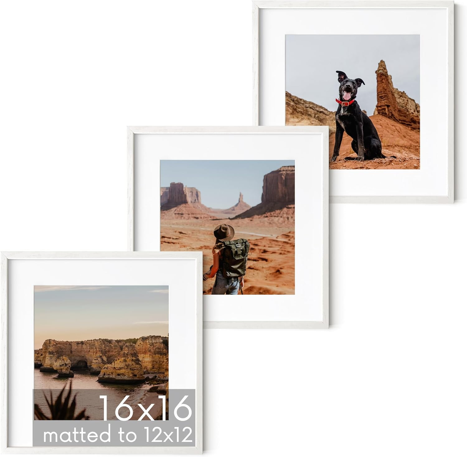 HAUS AND HUES Solid Oak Wood 16”x16” Picture Frames Matted to 12”x12 ...