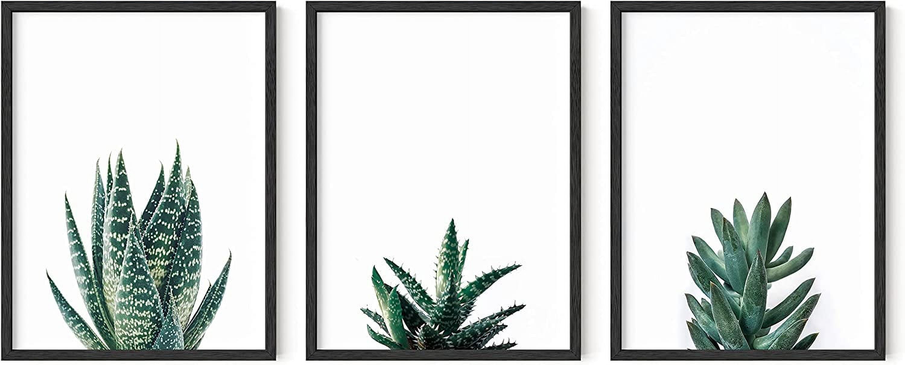 HAUS AND HUES Cactus Wall Art Succulent Framed Set of 3 - Plant Art ...