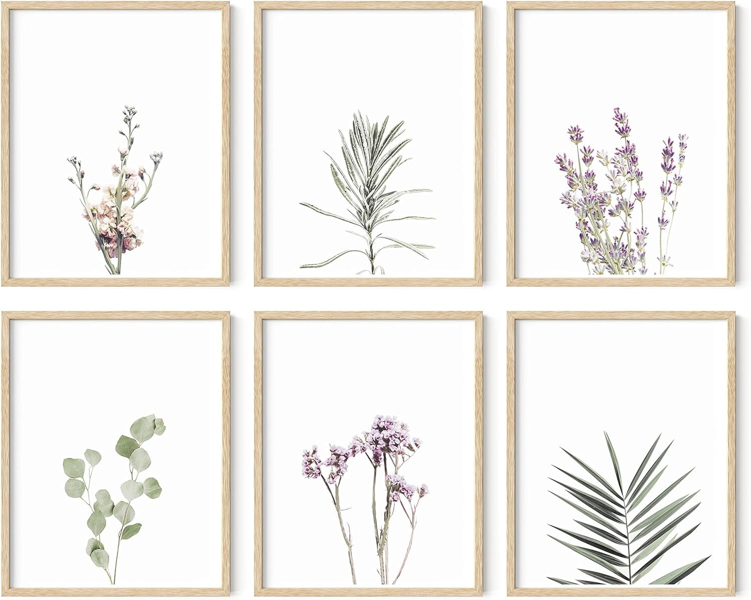 HAUS AND HUES Floral Prints and Plant Posters Set of 6 Botanical Prints ...