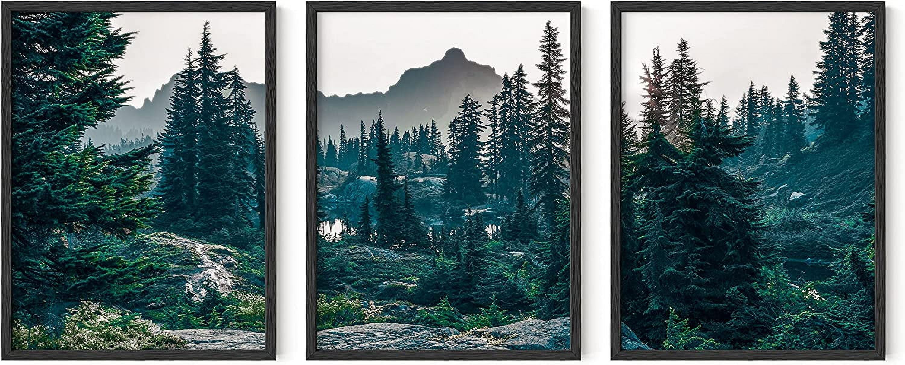 HAUS AND HUES Forest Wall Art - Set of 3 Scenic Nature Artwork, Poster ...