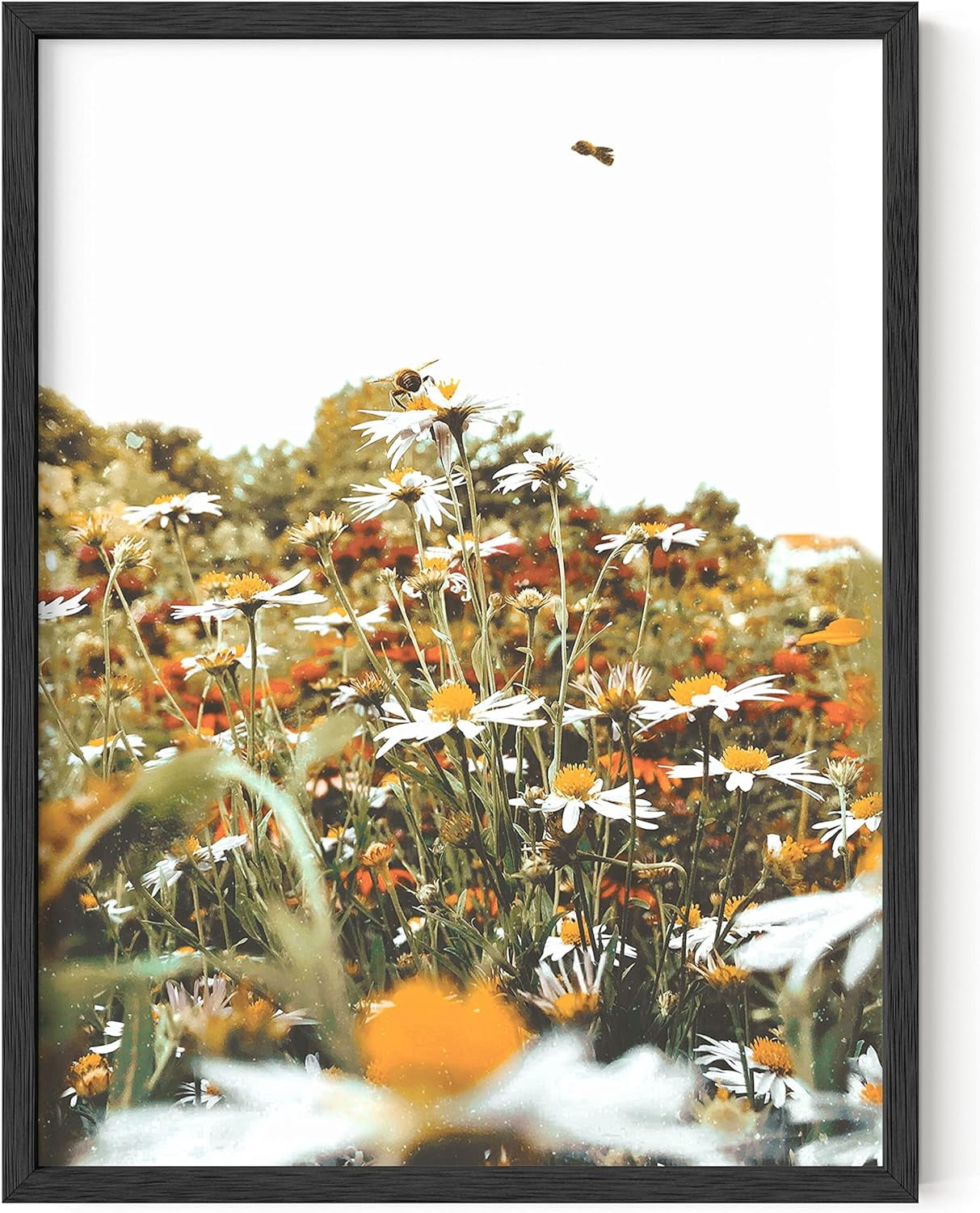HAUS AND HUES Honey Bee Decor Garden Wall Art Insect Poster Vintage ...