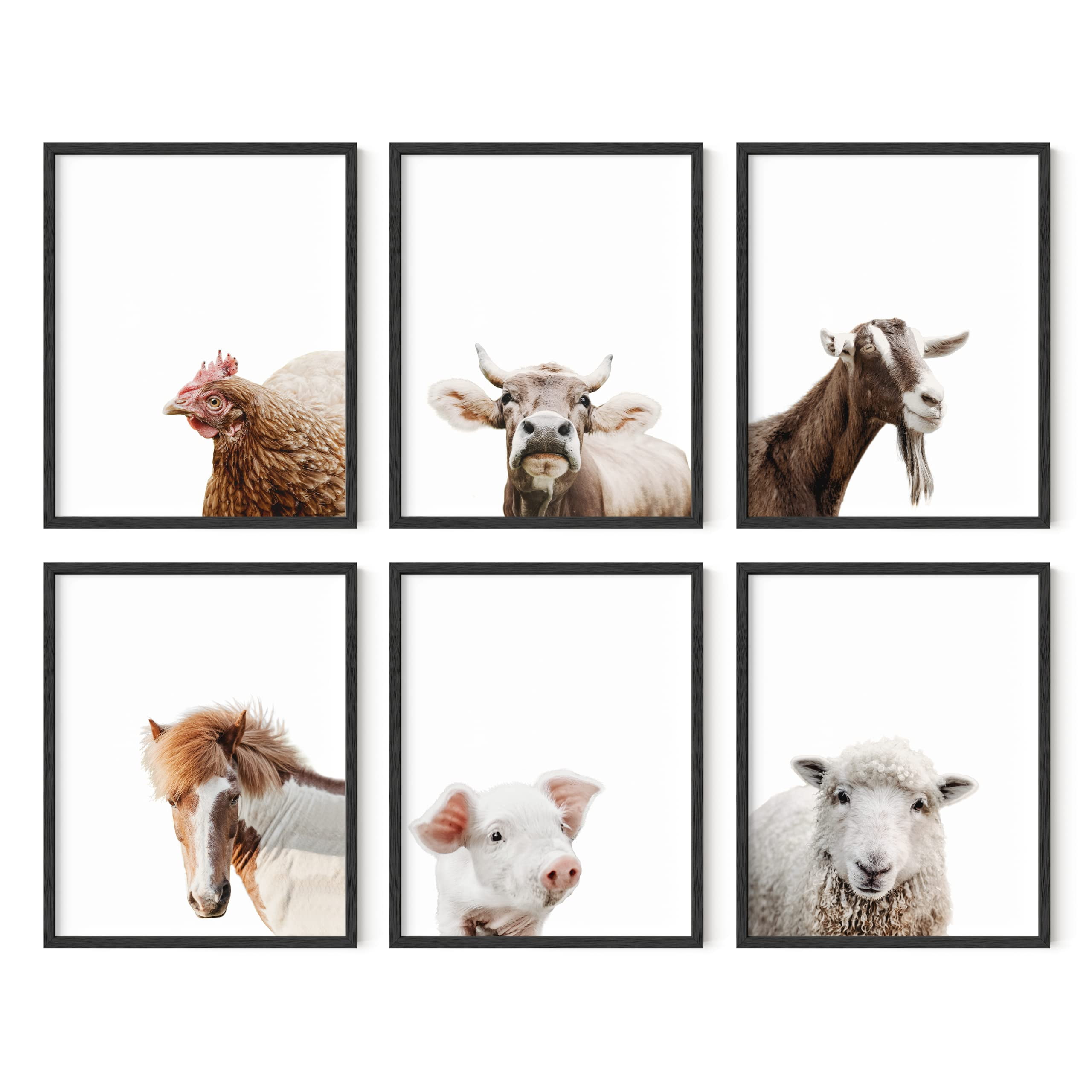 HAUS AND HUES Rustic Farm Animal Pictures - Set of 6 Farmhouse Wall Art ...