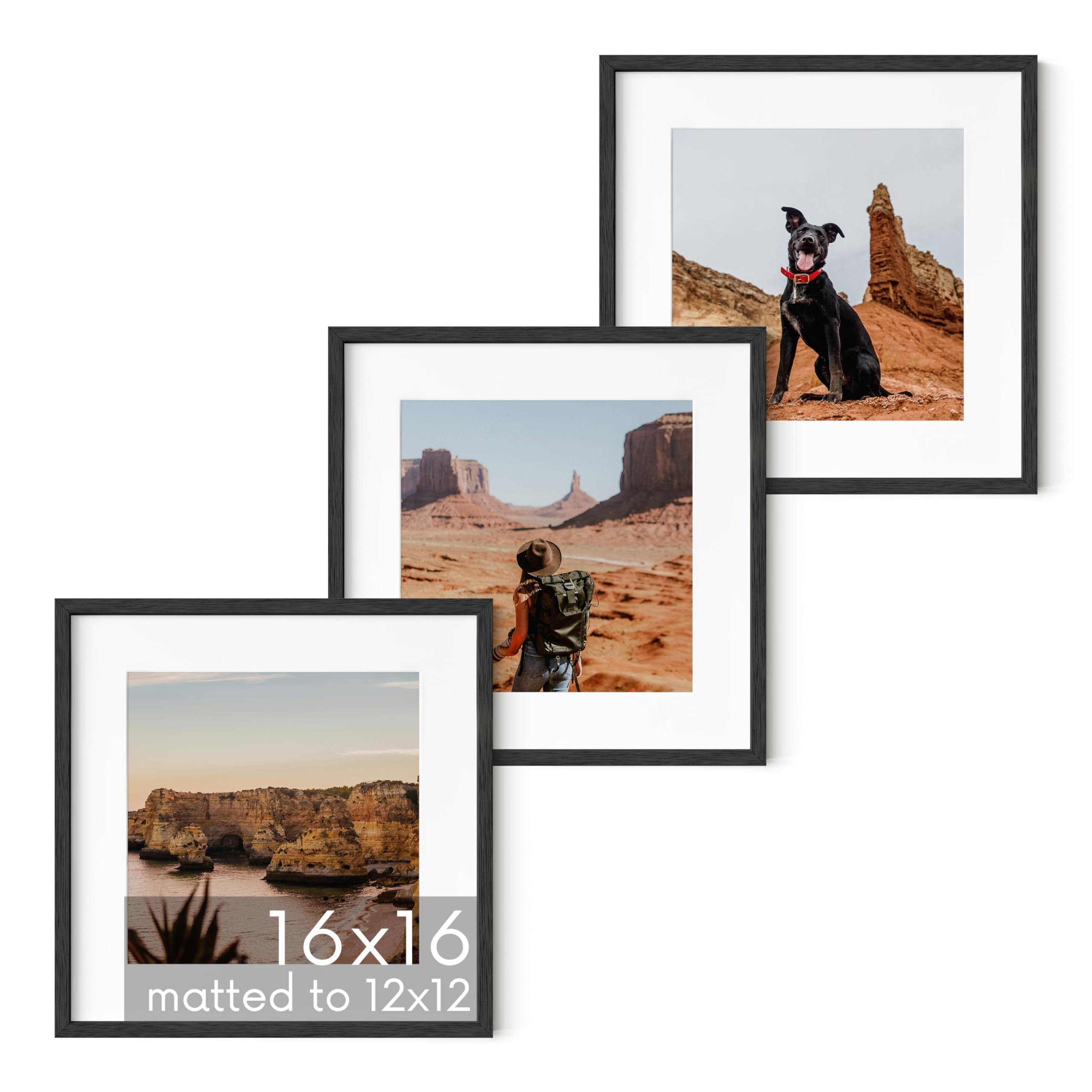 HAUS AND HUES Solid Oak Wood 16”x16” Picture Frames Matted to 12”x12 ...