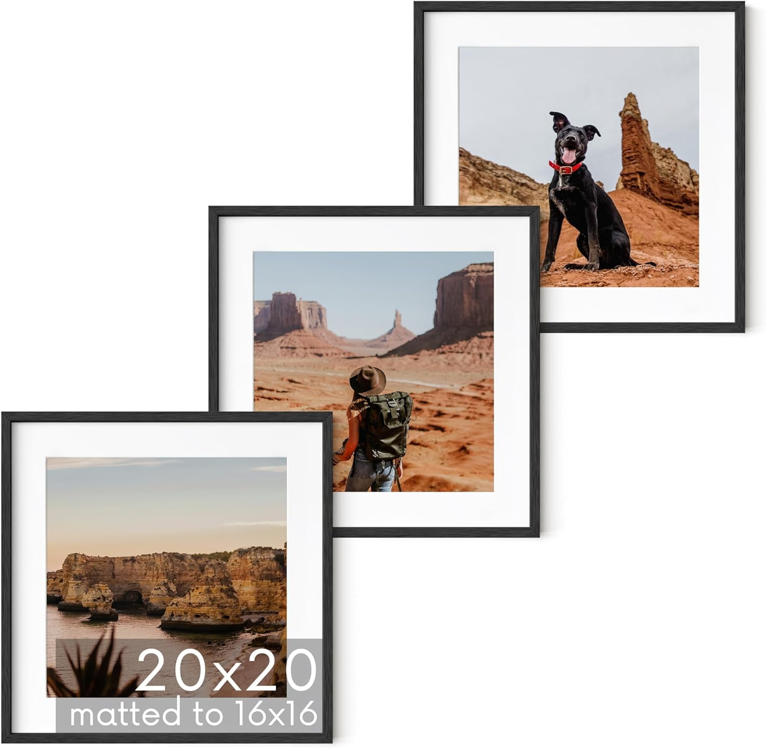 HAUS AND HUES Solid Oak Wood 20”x20” Picture Frames Matted to 16”x16 ...