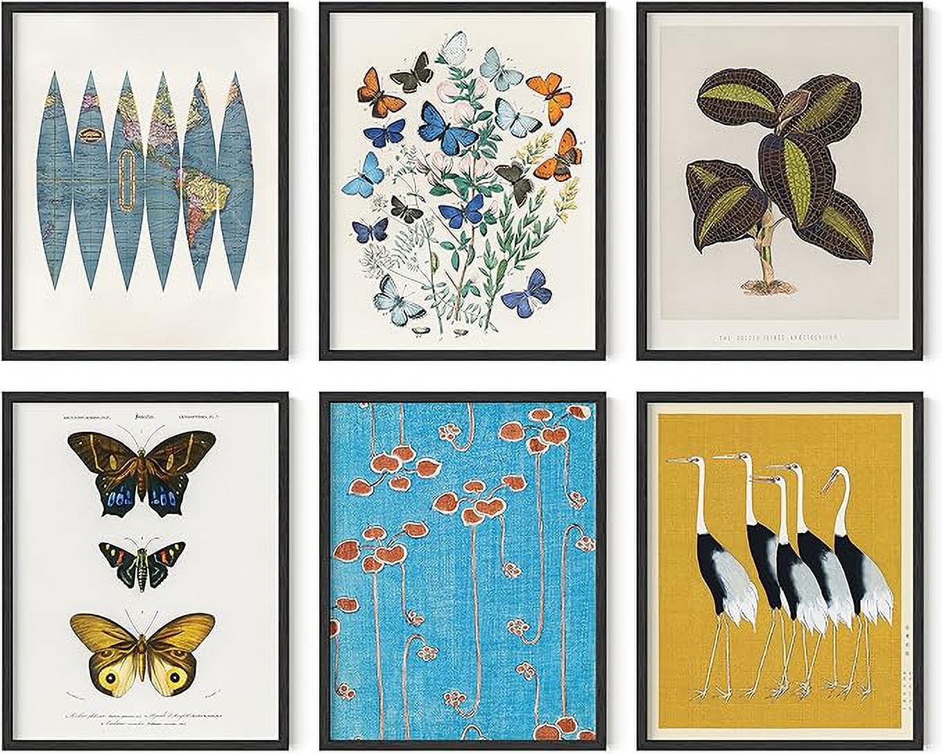 HAUS AND HUES Vintage Art Nature Posters - Set of 6 Old Vintage Posters ...