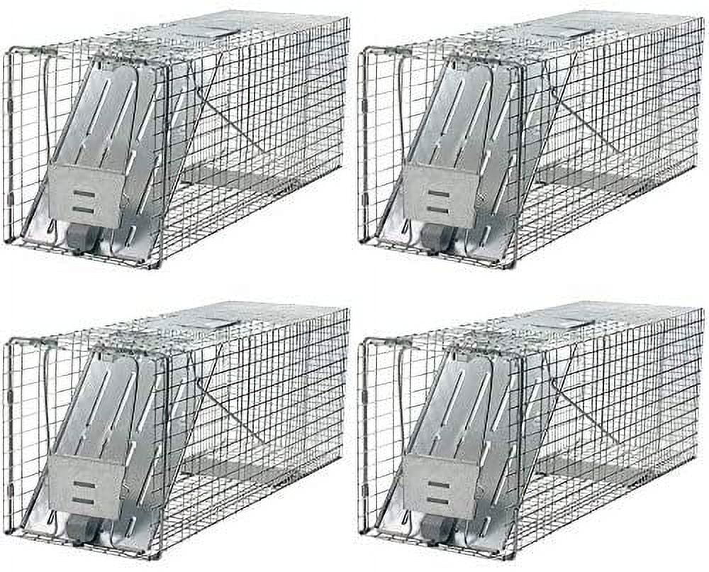 HAVAHART 1079 Large 1-Door Humane Animal Trap for Raccoons, Cats ...
