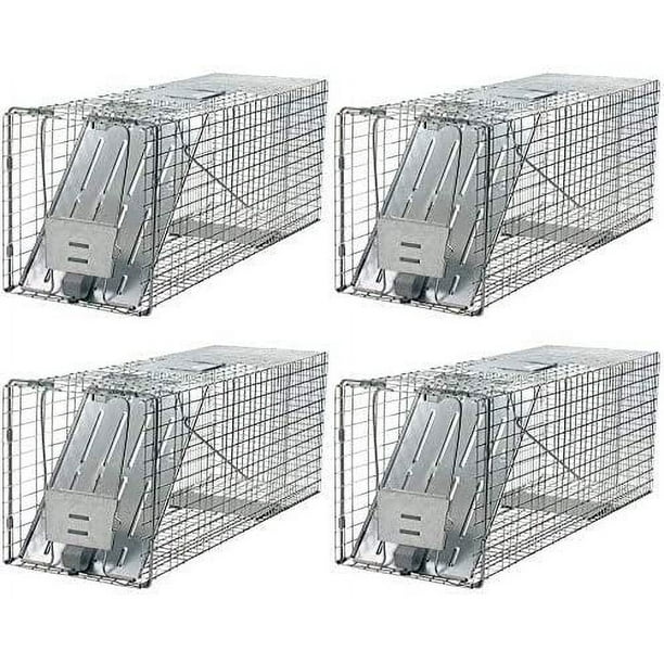 HAVAHART 1079 Large 1-Door Humane Animal Trap for Raccoons, Cats ...
